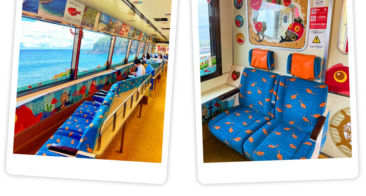 [Ito Ocean View Tour for Small Groups of 4-9 People] Mt. Omuro, Izu ...